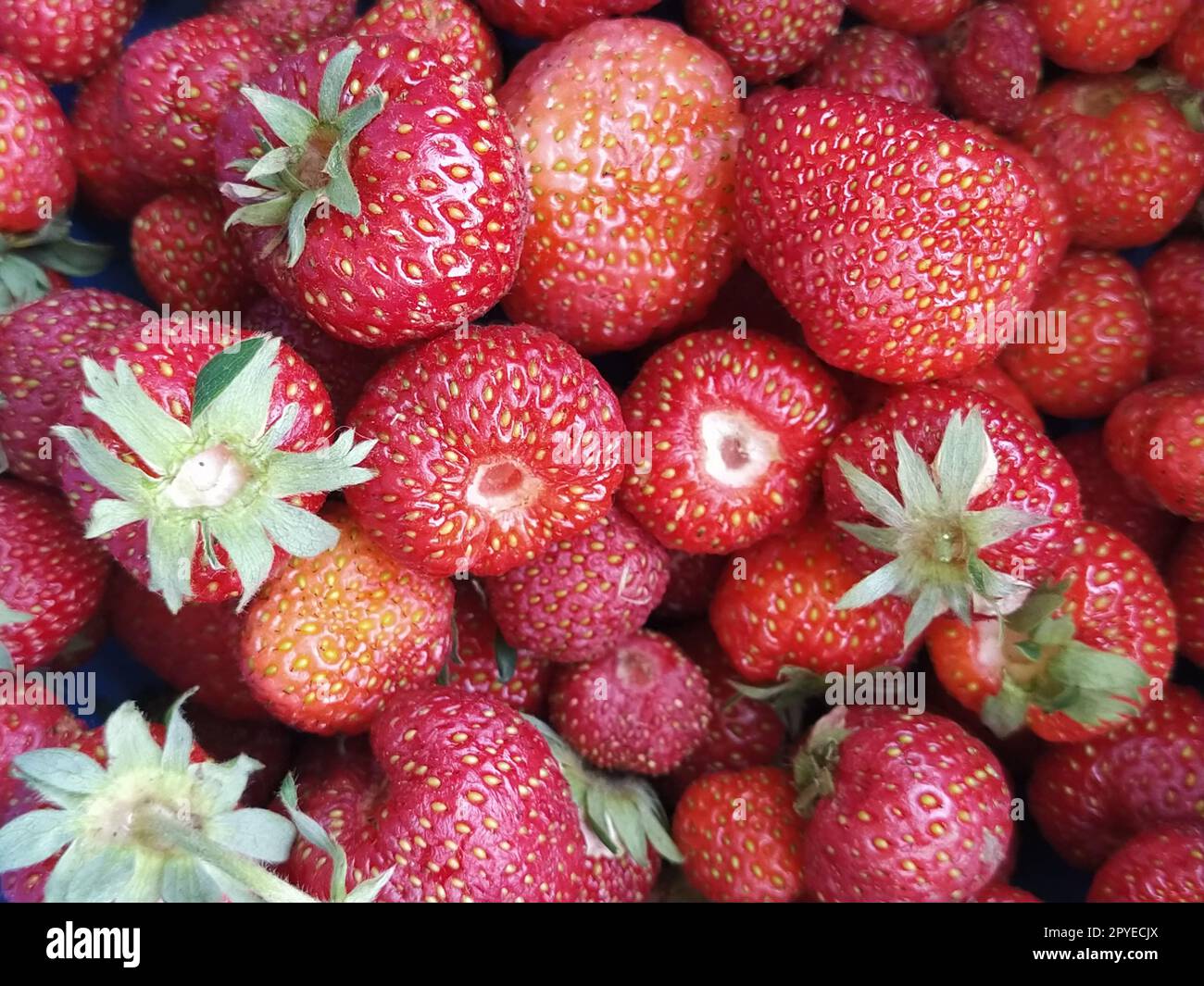 Strawberries background. Food background. Red strawberries in different ...