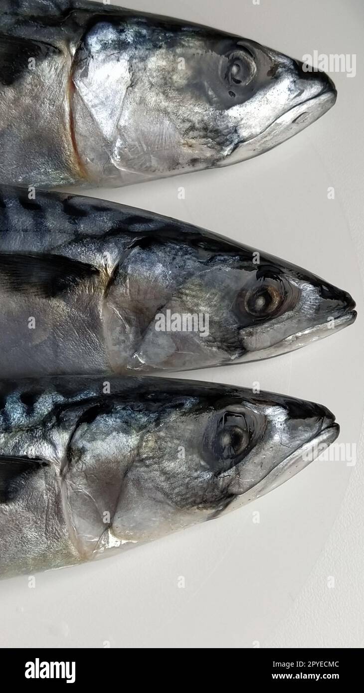 fresh fish with heads on a light background. Three fish were brought ...