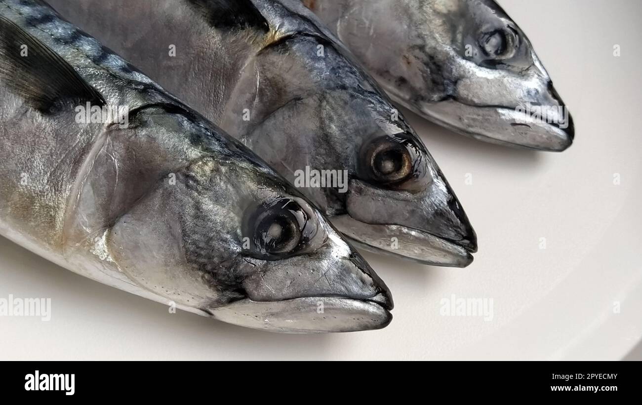 fresh fish with heads on a light background. Three fish were brought ...