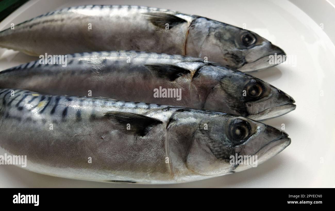 fresh fish with heads on a light background. Three fish were brought ...