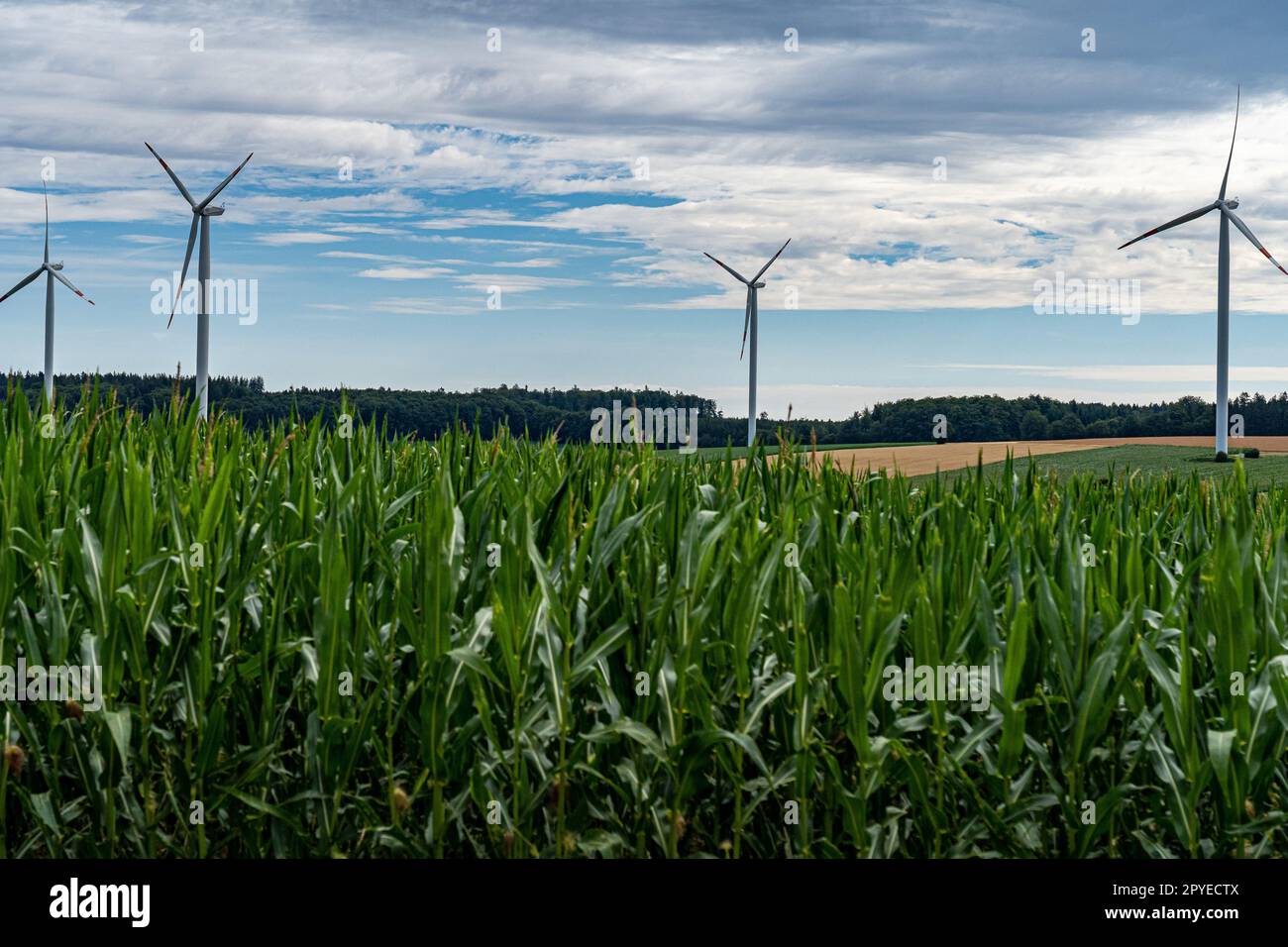 Big windmills for wind power on the field Stock Photo - Alamy