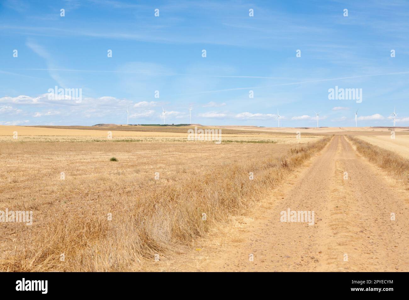 Region castile leon hi-res stock photography and images - Alamy