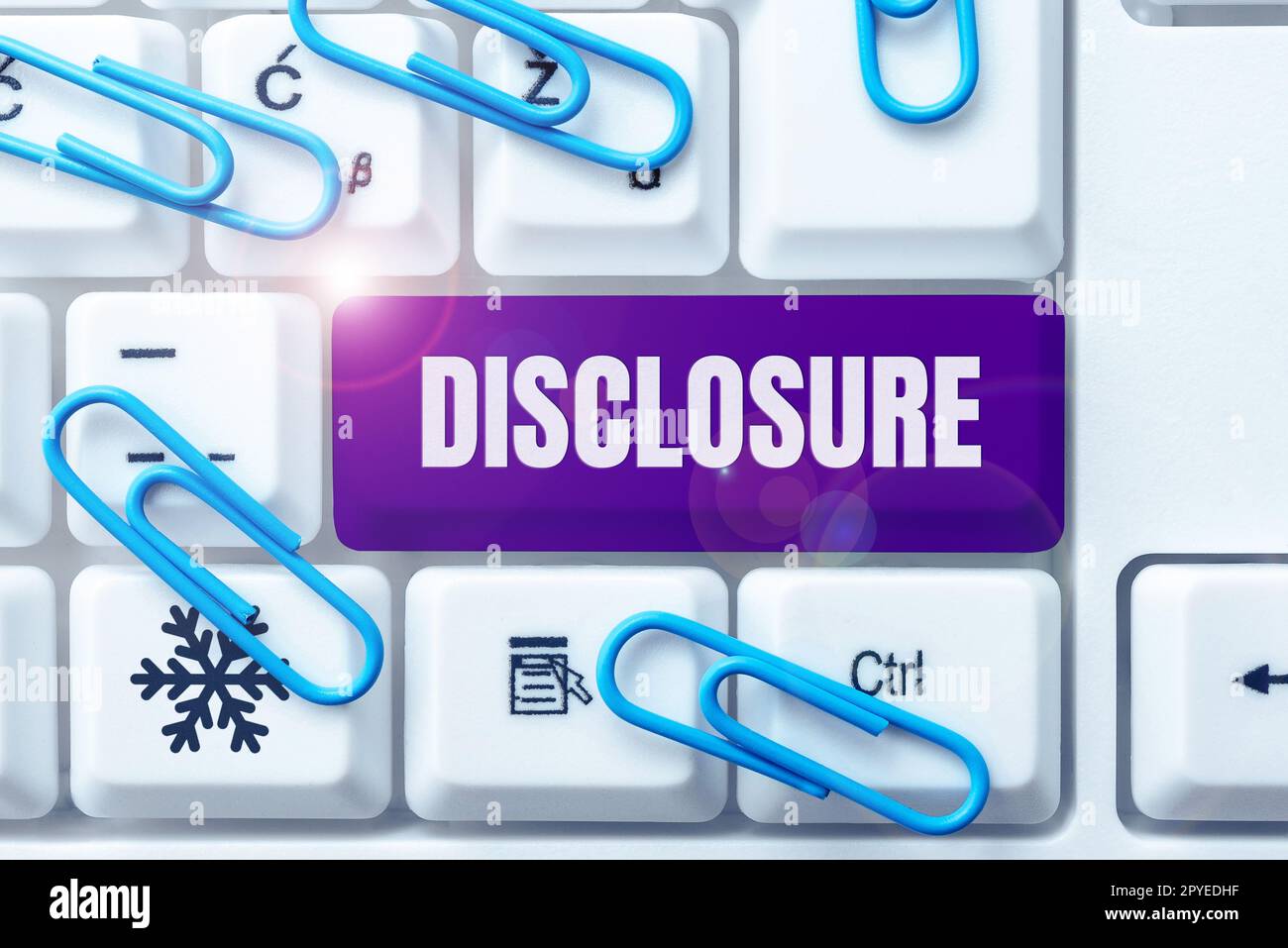 Conceptual display Disclosure. Business overview The action of making ...