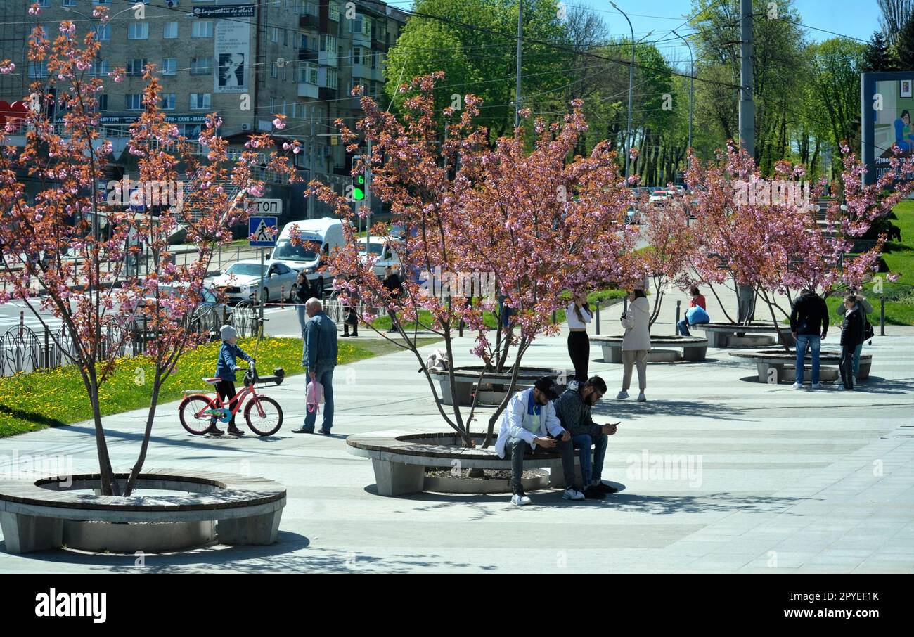 Ukrinform tree hi-res stock photography and images - Alamy