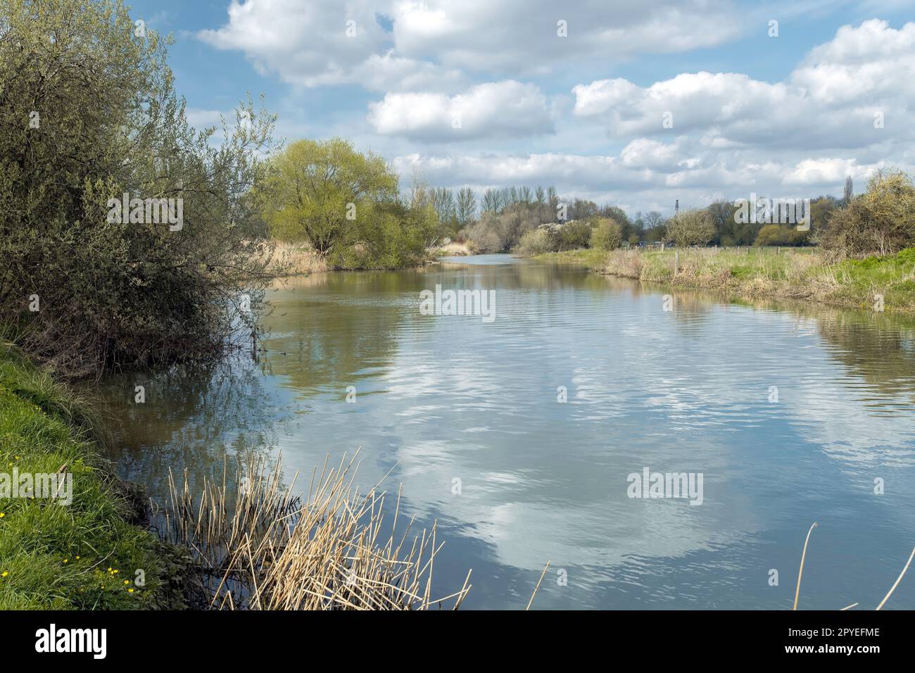 The Nene River is a river in Northampton, UK Stock Photo - Alamy