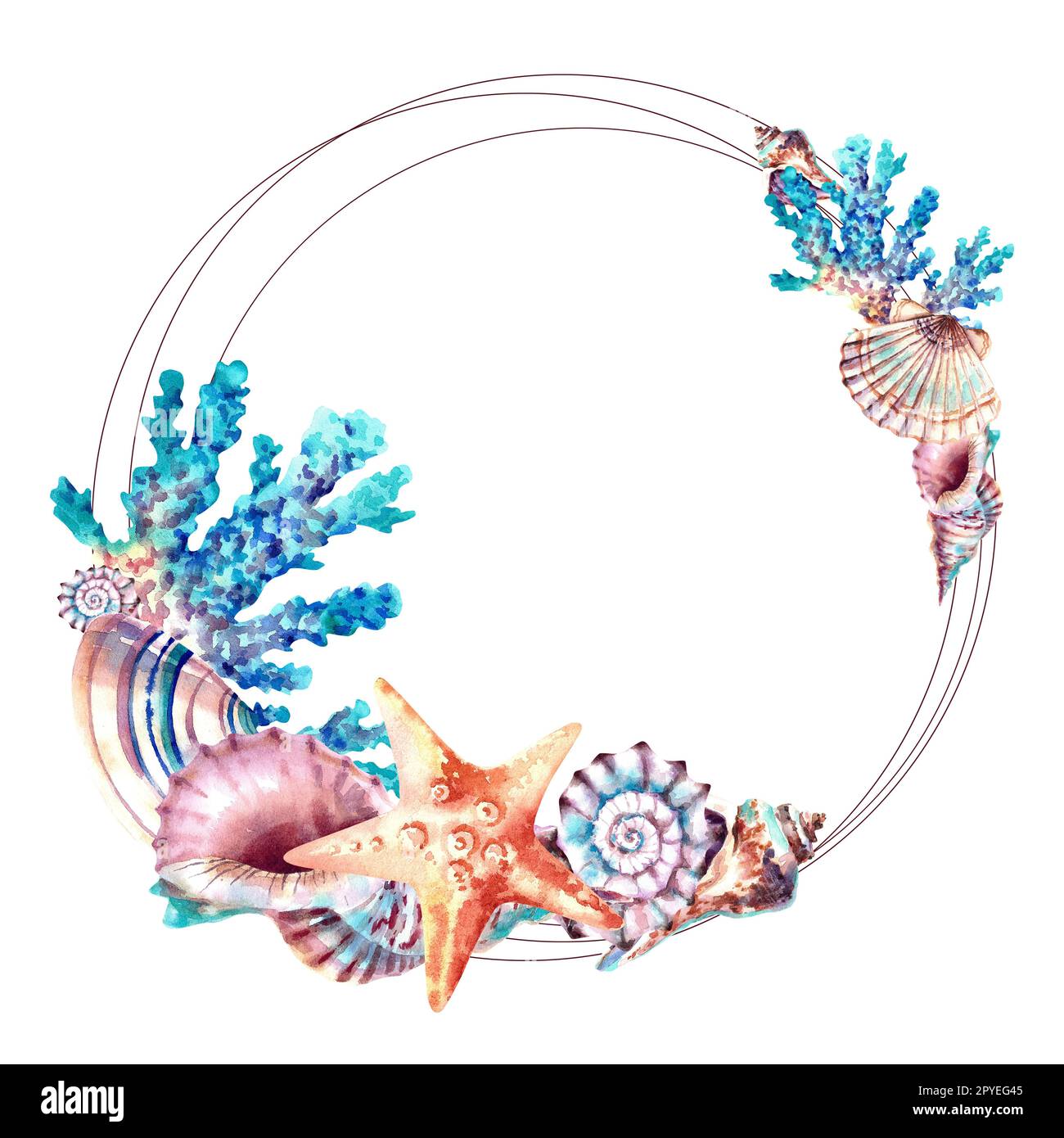 A wreath of sea animals, shells, corals, stars. Watercolor illustration ...