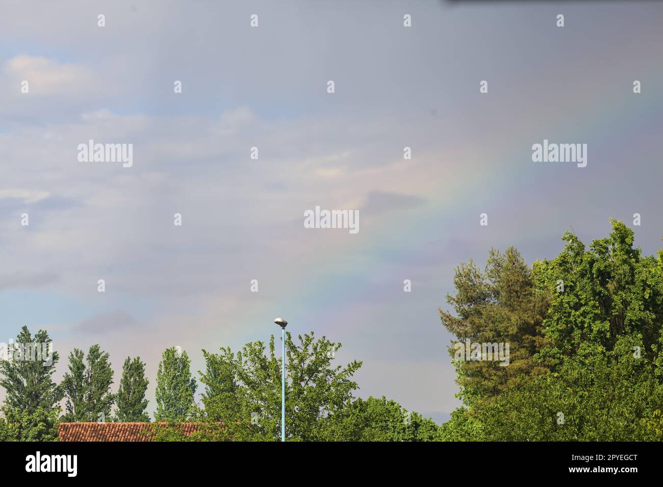 Rainbow on a grey sky after a storm with tree tops and street lamp in ...
