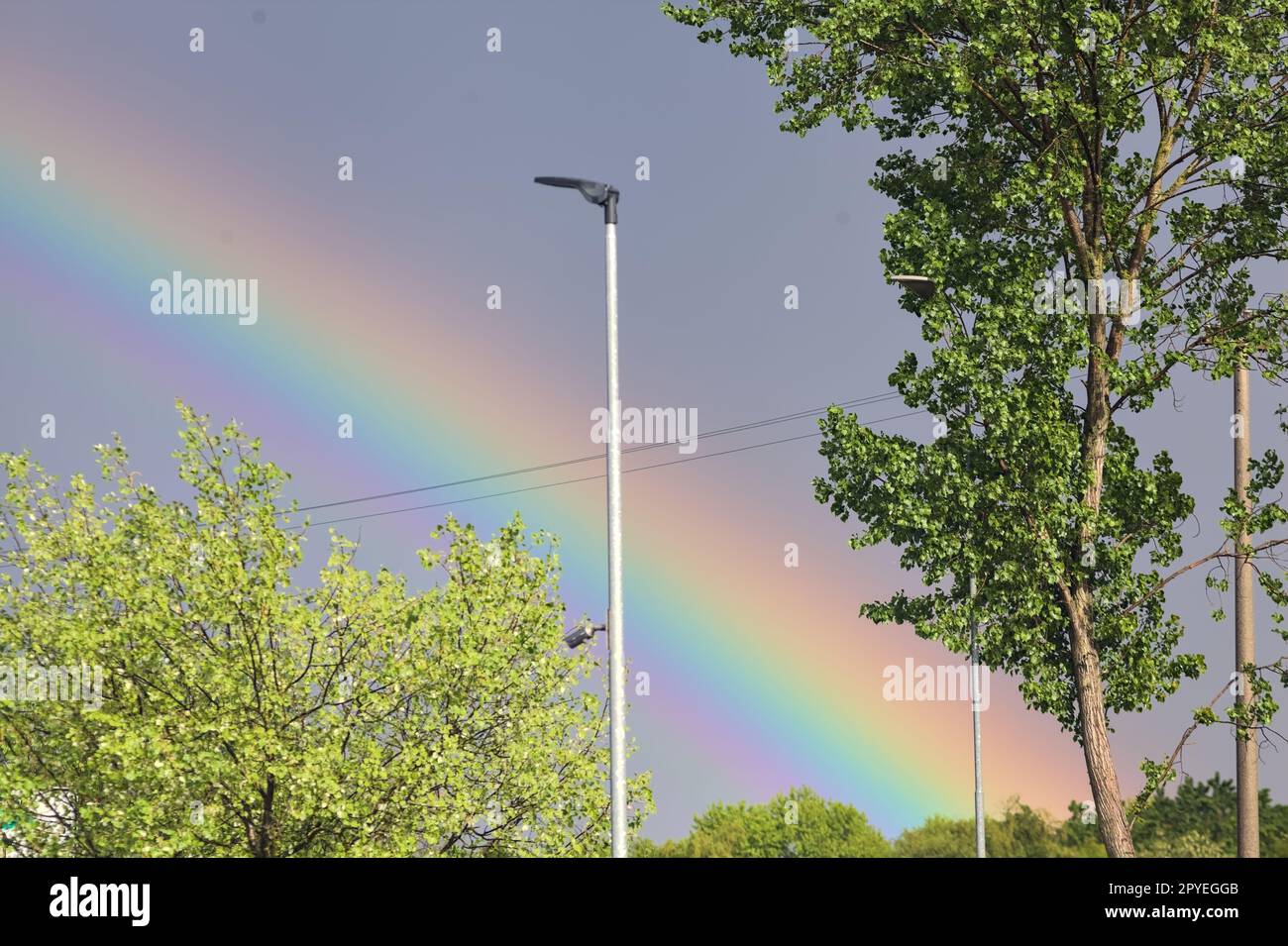 Rainbow on a grey sky after a storm with tree tops and street lamp in ...