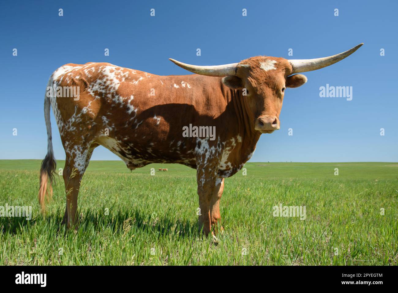 USA; Great Plains; South Dakota, Jackson County, Midland, 1880 Town ...