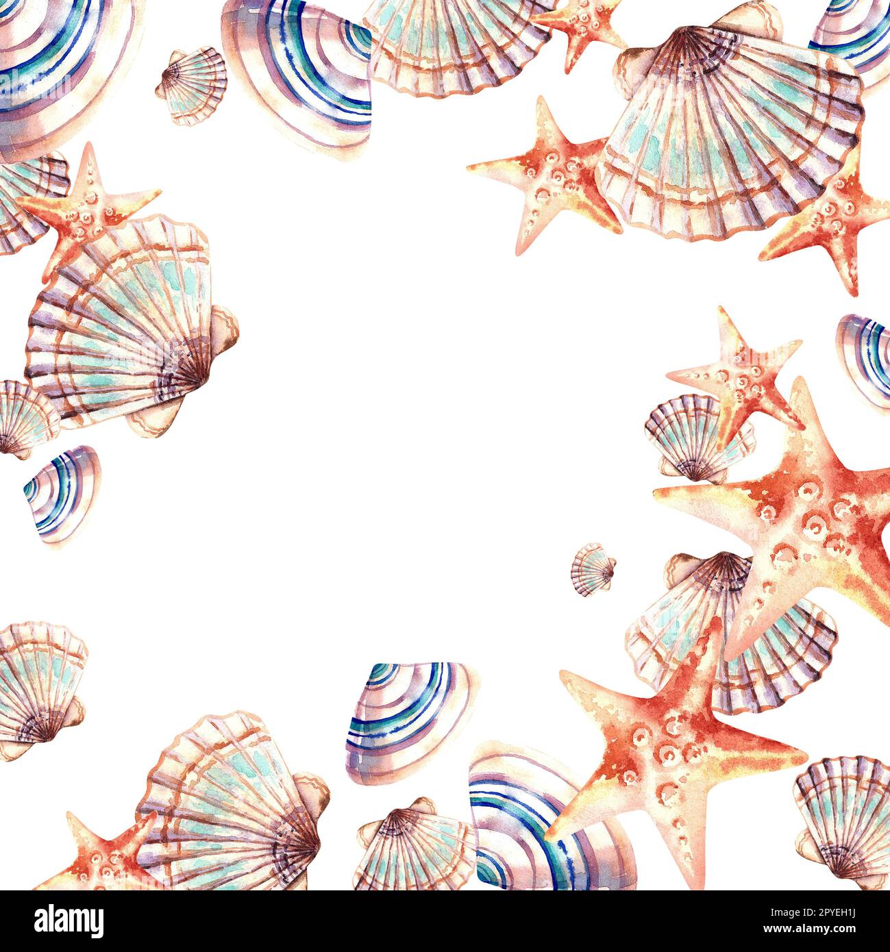 Marine life shells hi-res stock photography and images - Alamy