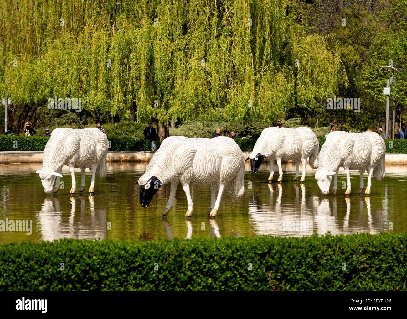 Numerous sheep in public fountain art installation by the Bulgarian ...