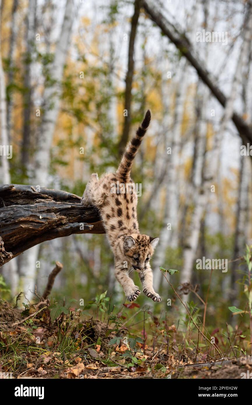 Log off movement hi-res stock photography and images - Alamy