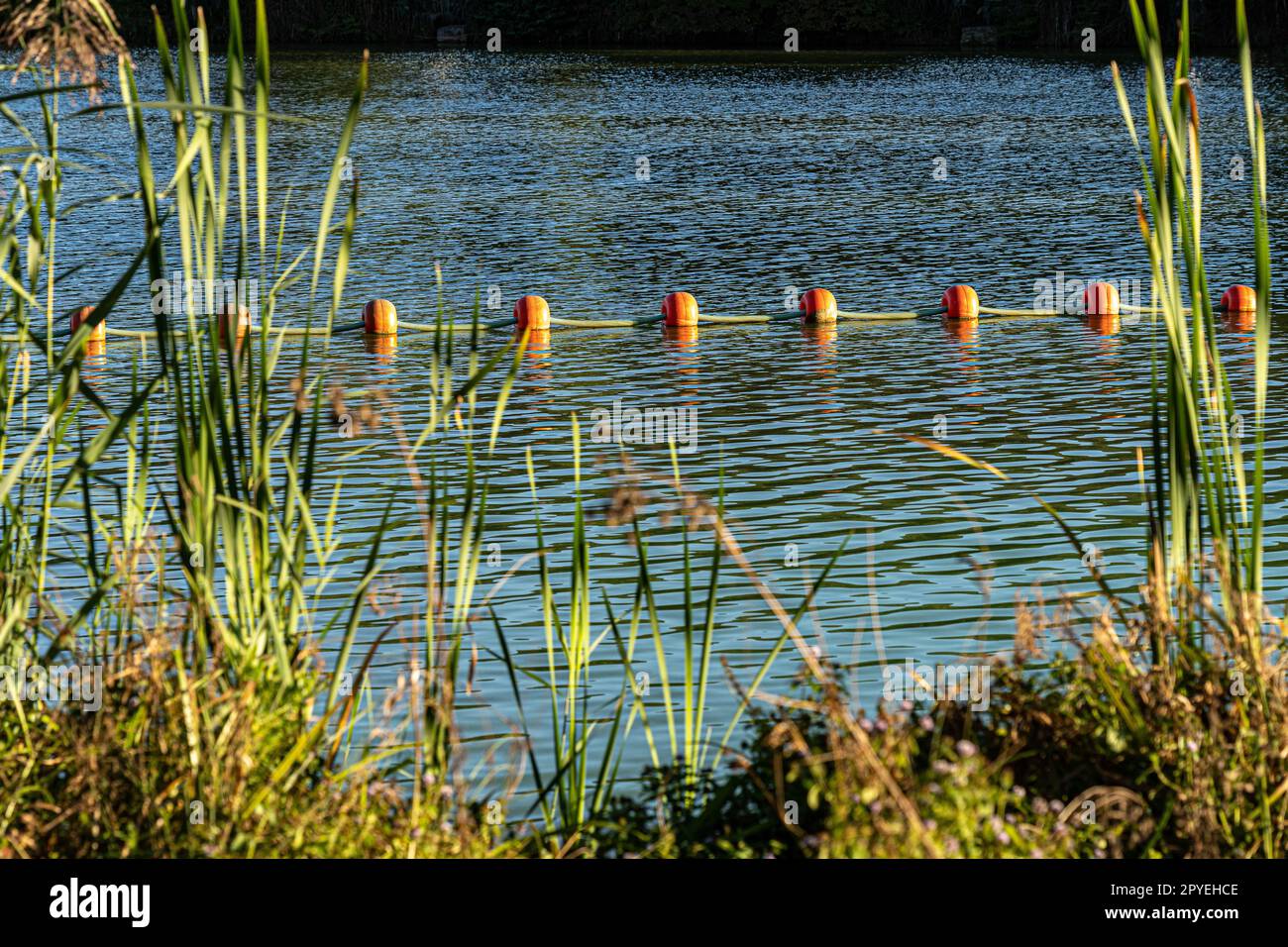 Little lake with clear water and reflections in the water Stock Photo ...