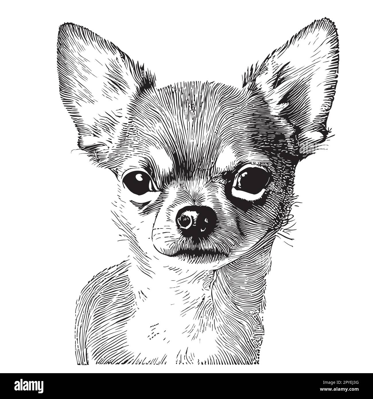 Chihuahua face sketch hand drawn in doodle style illustration Stock ...