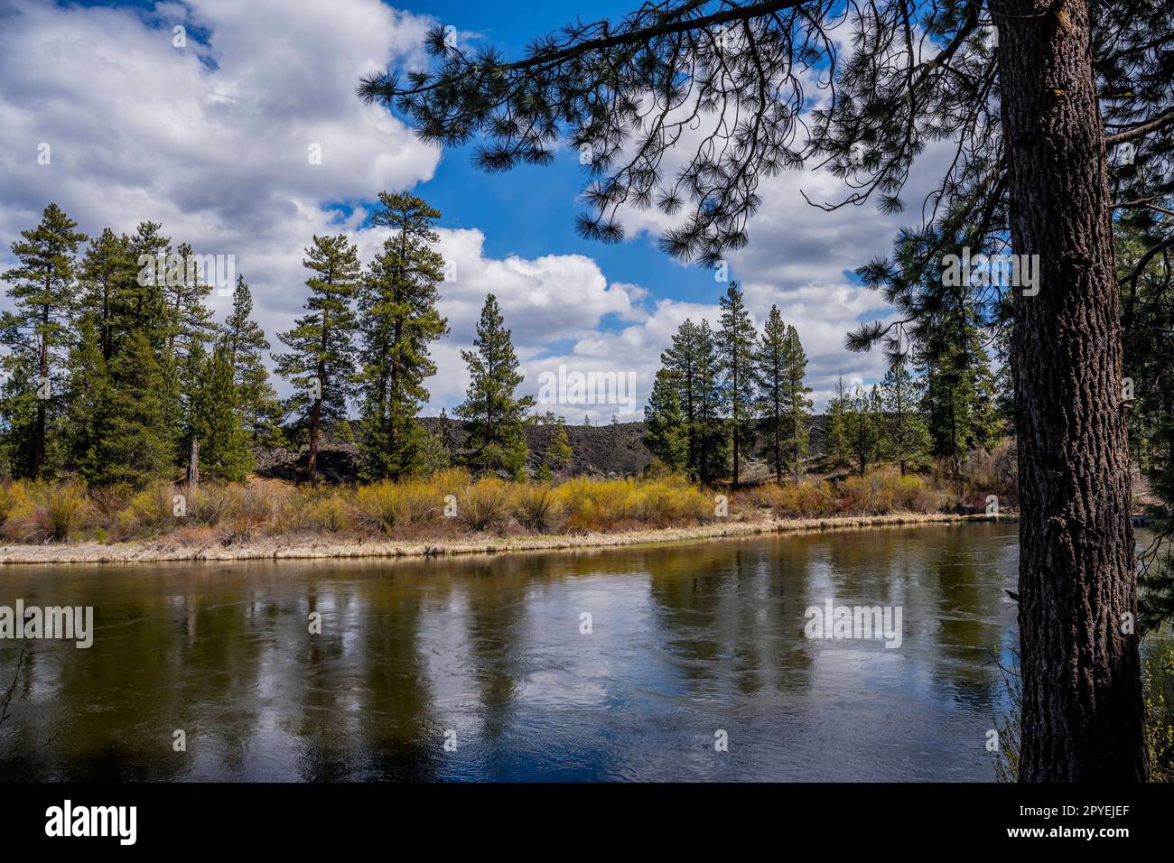 From the benham falls trail hi-res stock photography and images - Alamy