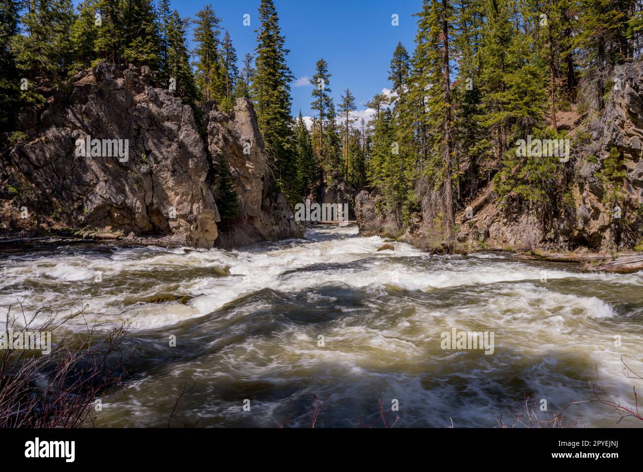 View of the Benham Falls rapids of the Deschutes River located between ...