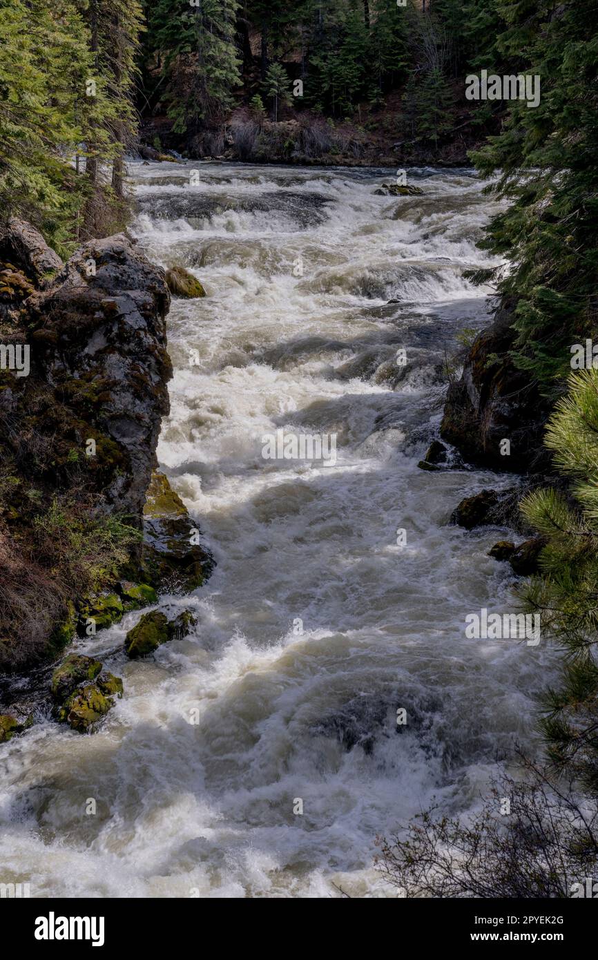 View of the Benham Falls rapids of the Deschutes River located between ...