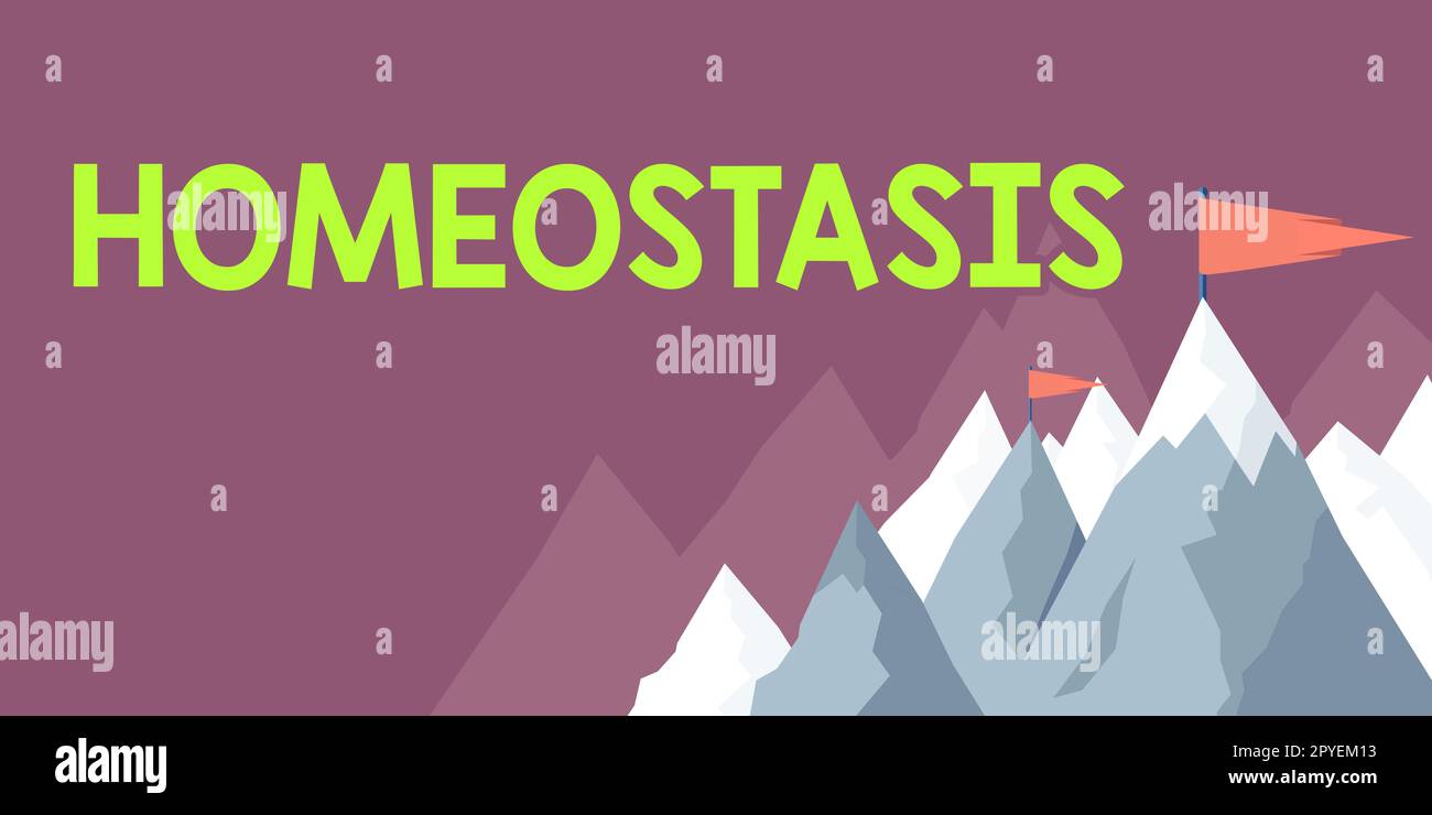 Hand writing sign Homeostasis. Business showcase the tendency toward a ...