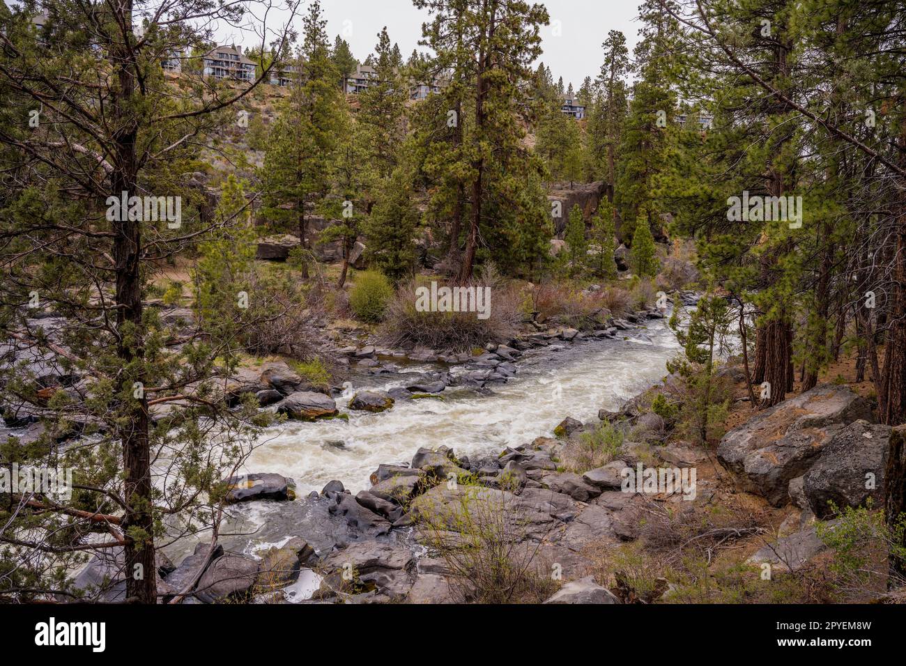 Usa housing 2022 hi-res stock photography and images - Alamy