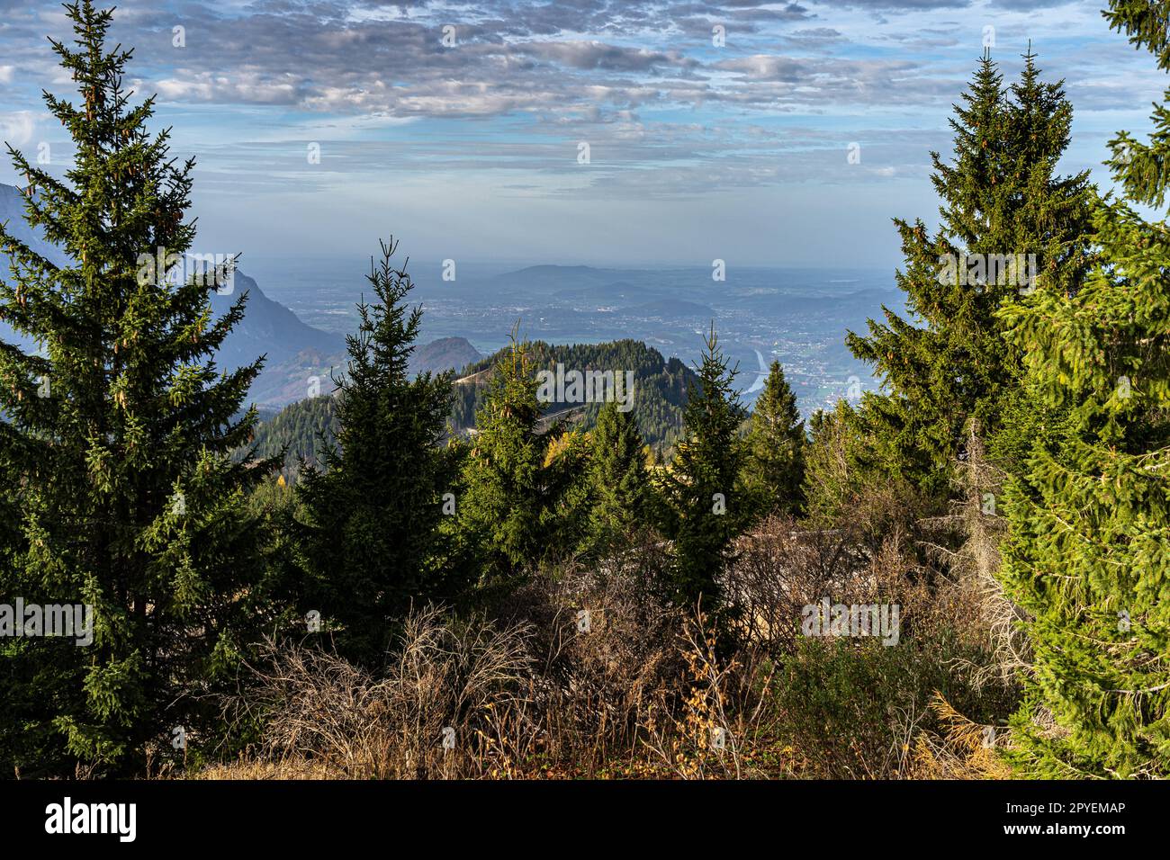Massive mountain chain, forest and meadows of the German Alps Stock ...