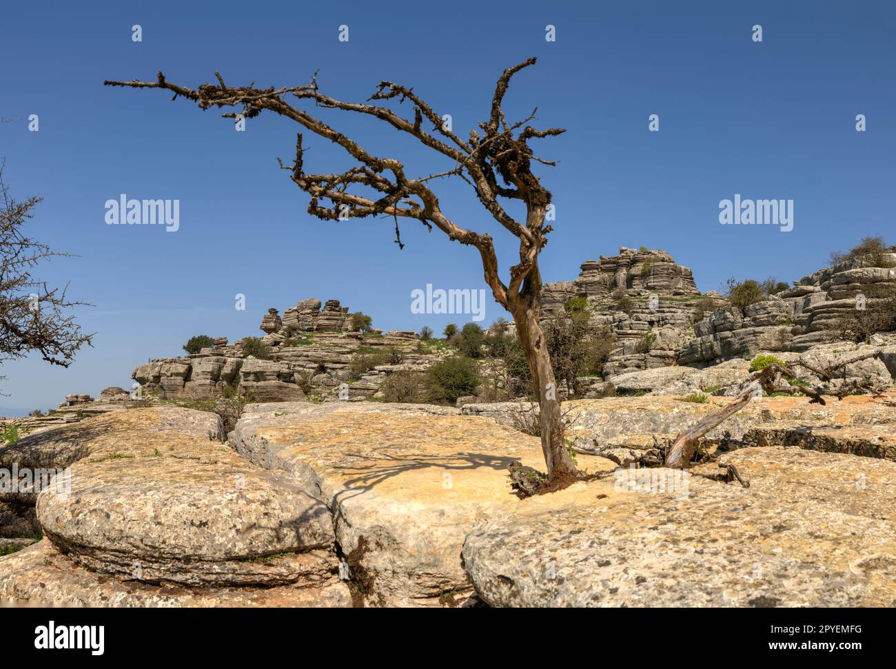 Paisajes bonitos hi-res stock photography and images - Alamy
