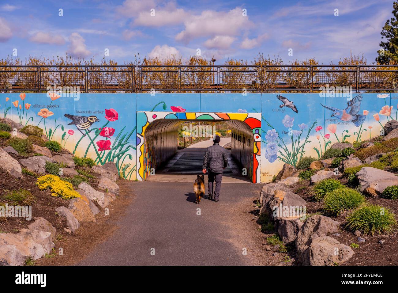 The Deschutes River Trail (DRT) is over 12 miles of trails along the ...
