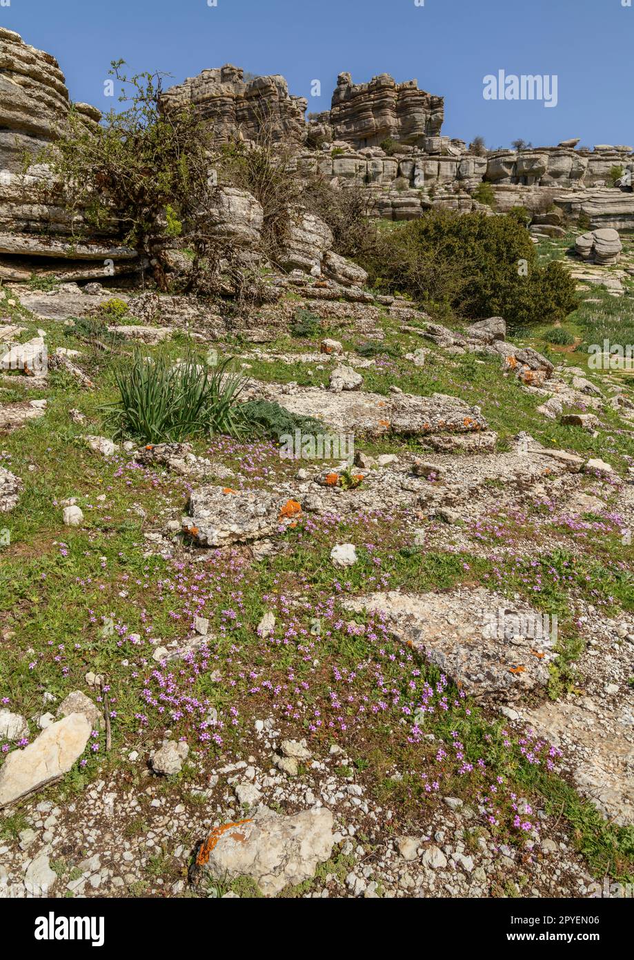 Paisajes bonitos hi-res stock photography and images - Alamy