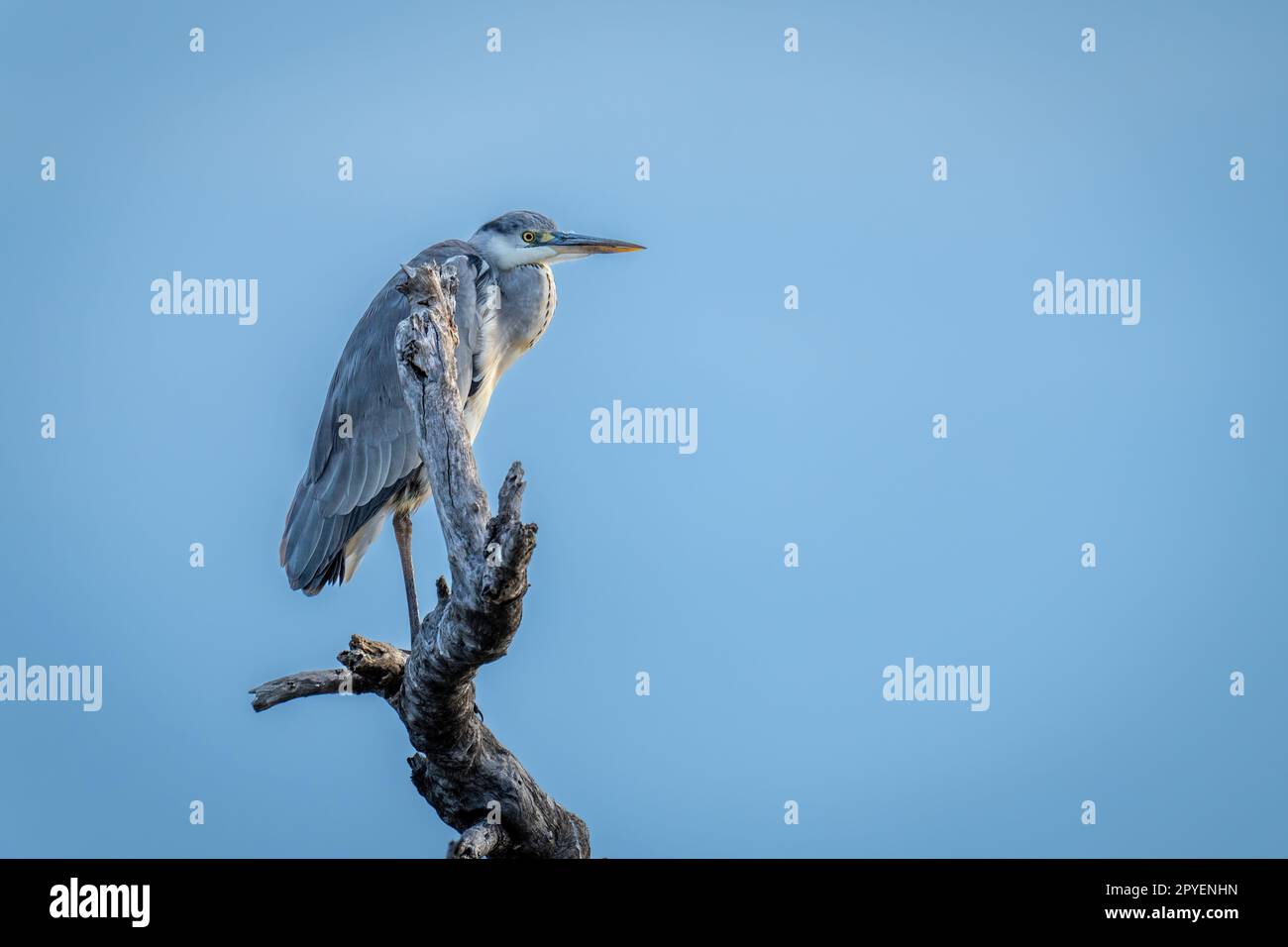 Grey dead landscape hi-res stock photography and images - Alamy