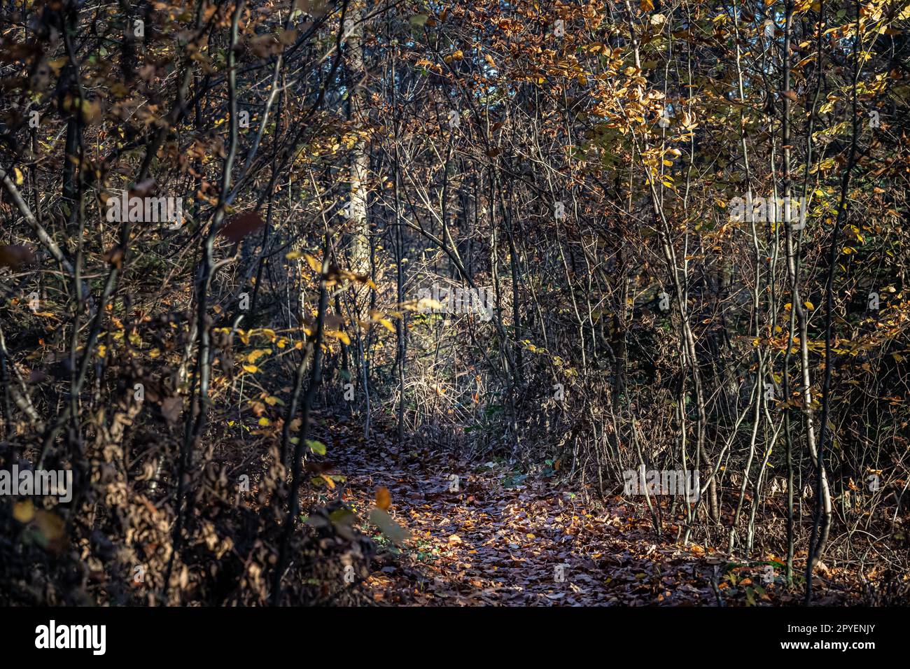 Colorful lane hi-res stock photography and images - Alamy
