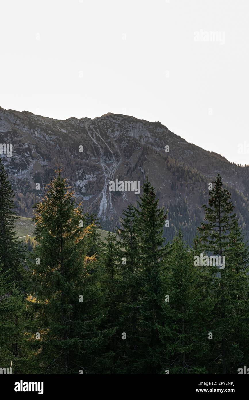 Massive mountain chain, forest and meadows of the German Alps Stock ...