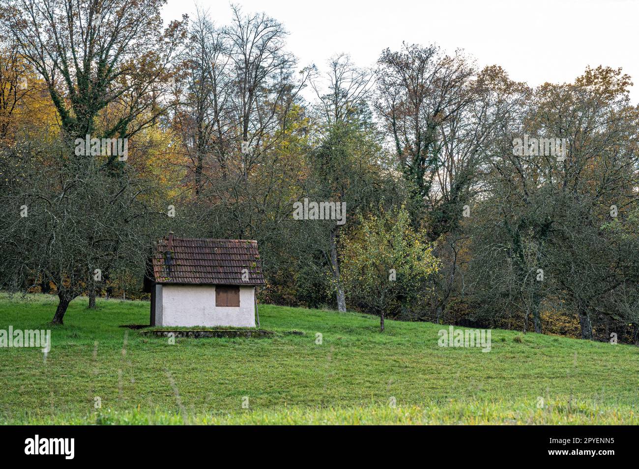Little hut on the meadow near the forest Stock Photo - Alamy