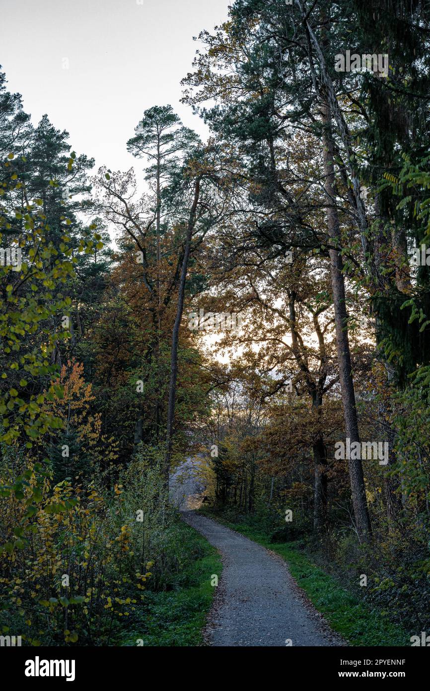 Colorful lane hi-res stock photography and images - Alamy
