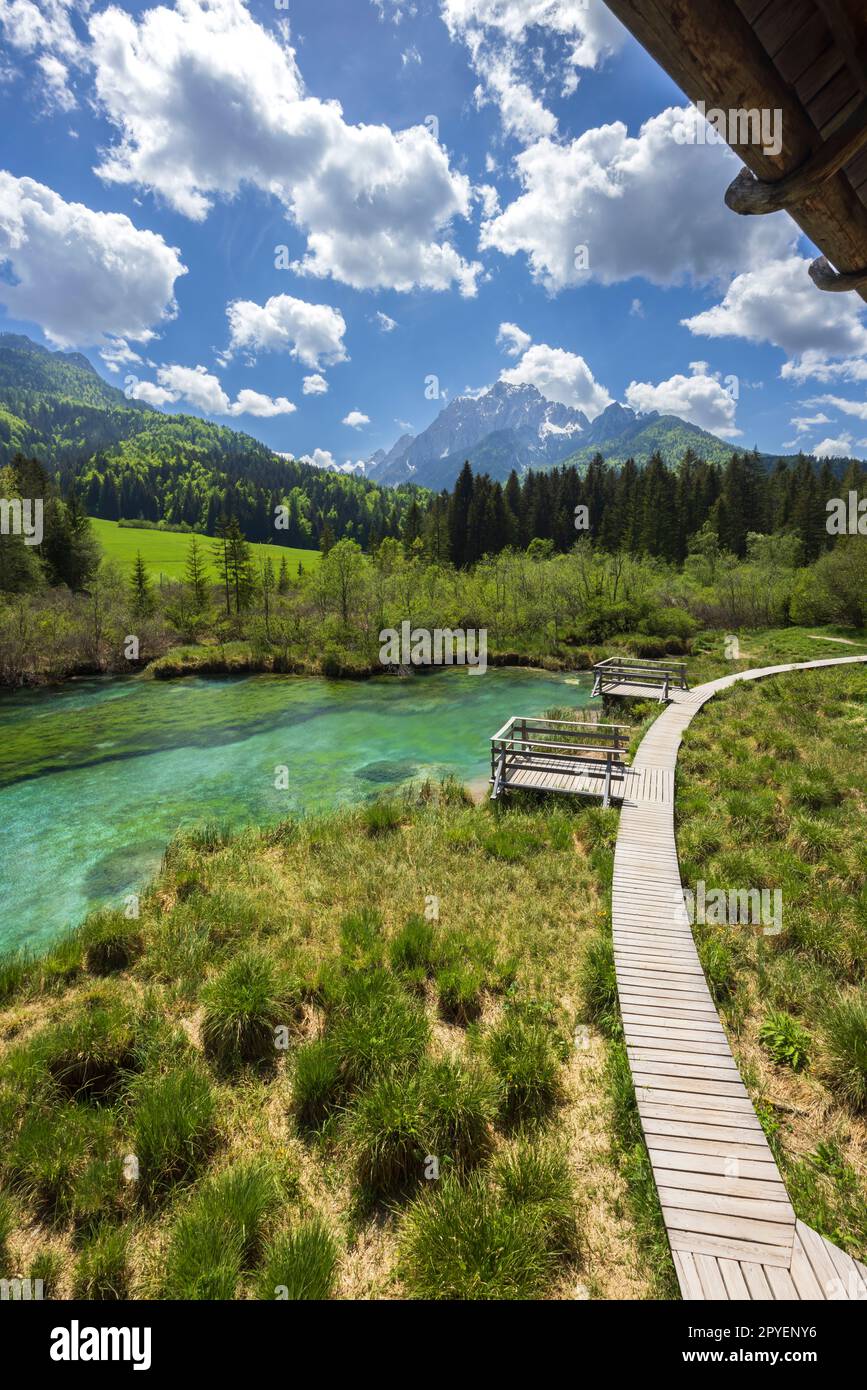Spring landscape in Zelenci, Slovenia Stock Photo - Alamy
