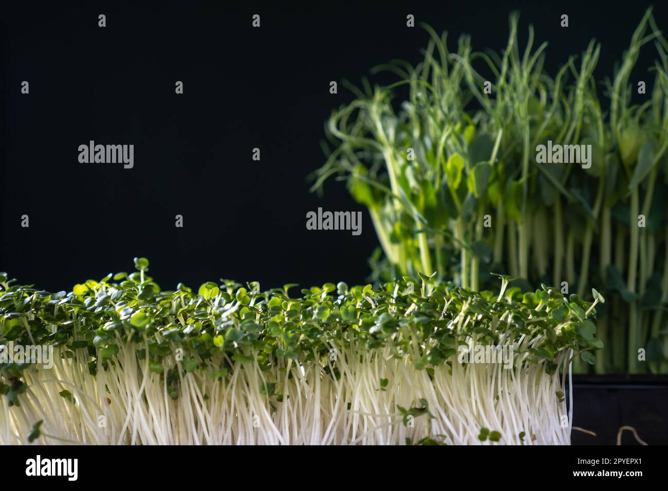 Different types of cultivation hi-res stock photography and images - Alamy