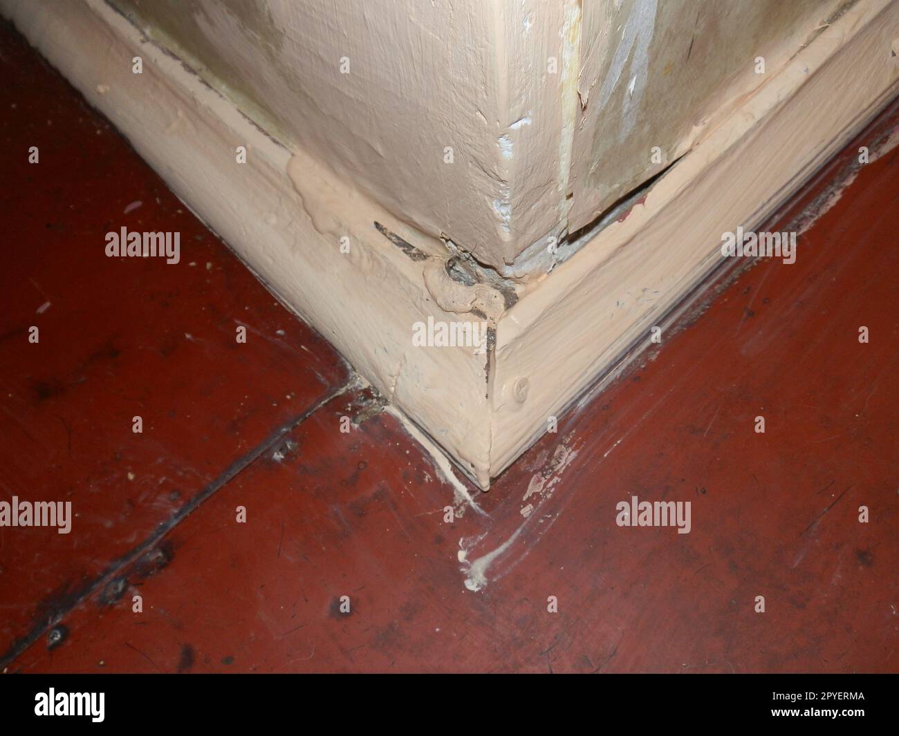 Painting interior acrylic paint walls during renovation Stock Photo - Alamy