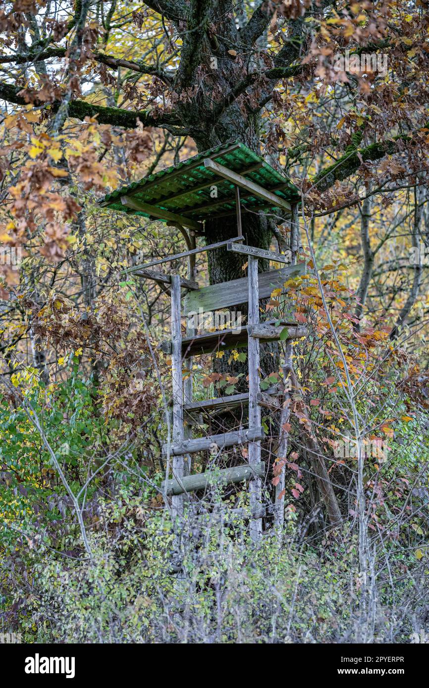 Small raised hide for hunting in the middle of the forest Stock Photo ...