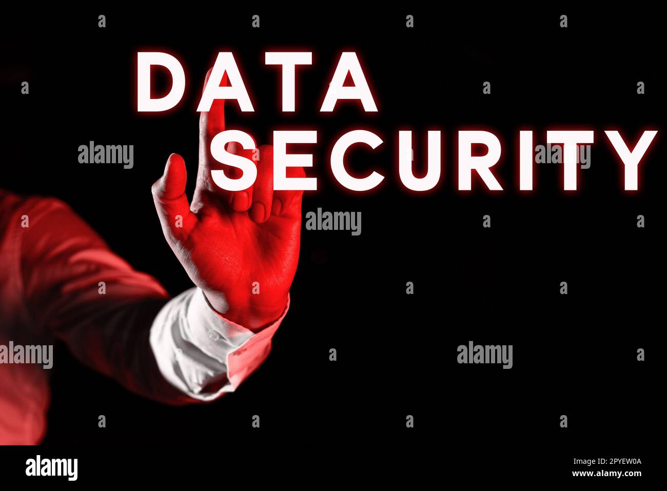 Conceptual display Data Security. Business showcase Confidentiality Disk Encryption Backups ...