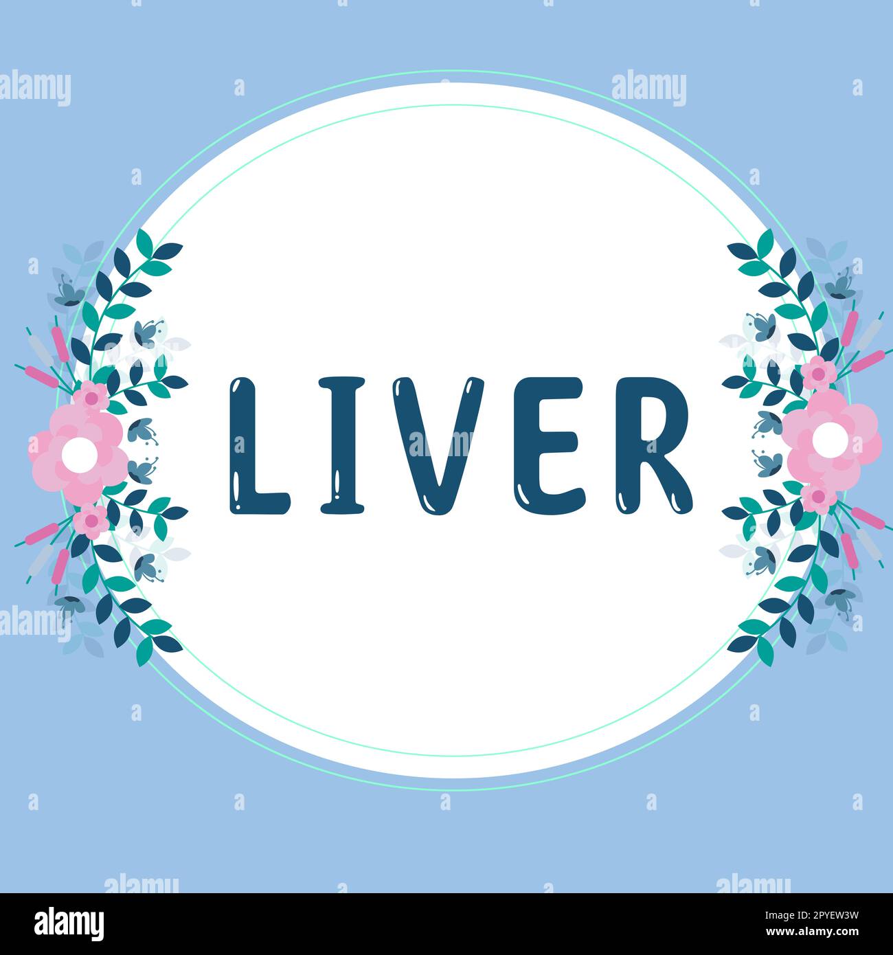 Text sign showing Liver. Word Written on Large lobed glandular organ in ...