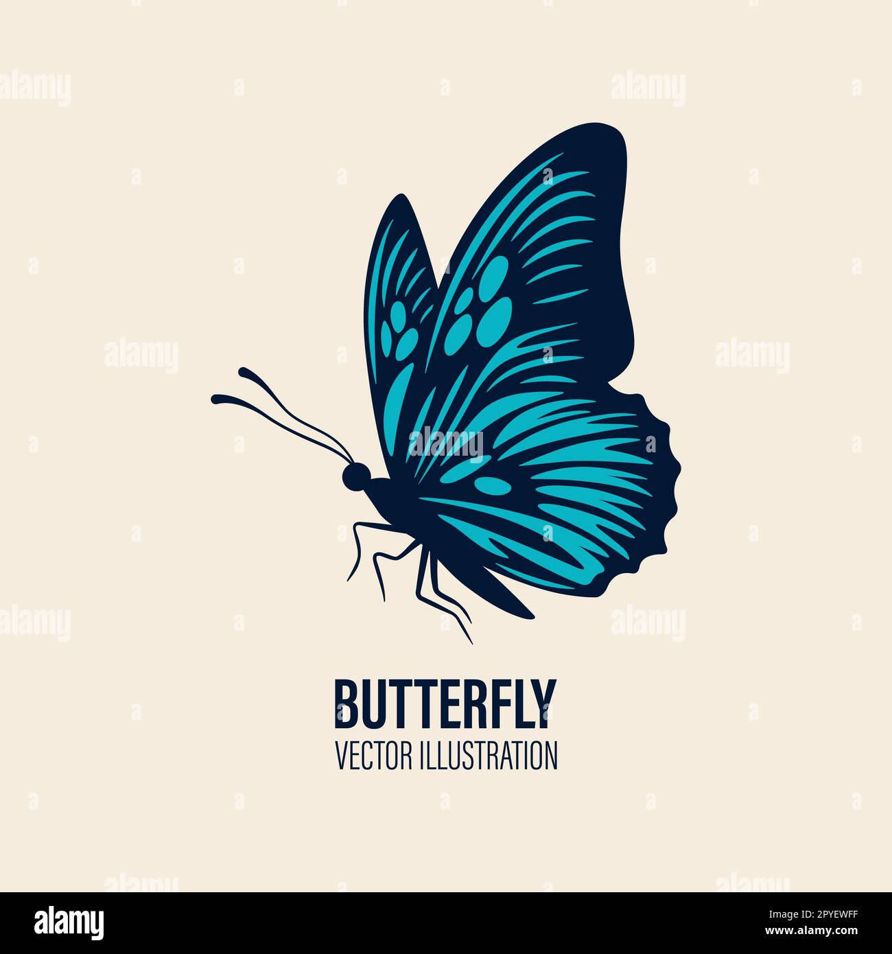 Vector Hand Drawn Butterfly Icon Closeup Isolated on White Background ...