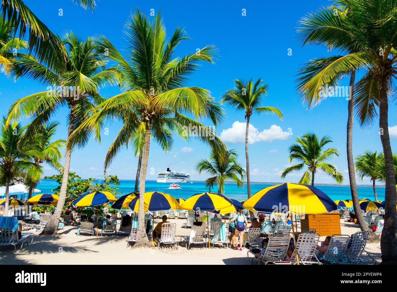 Catalina Island or Isla Catalina is a tropical island located 1.5 miles ...