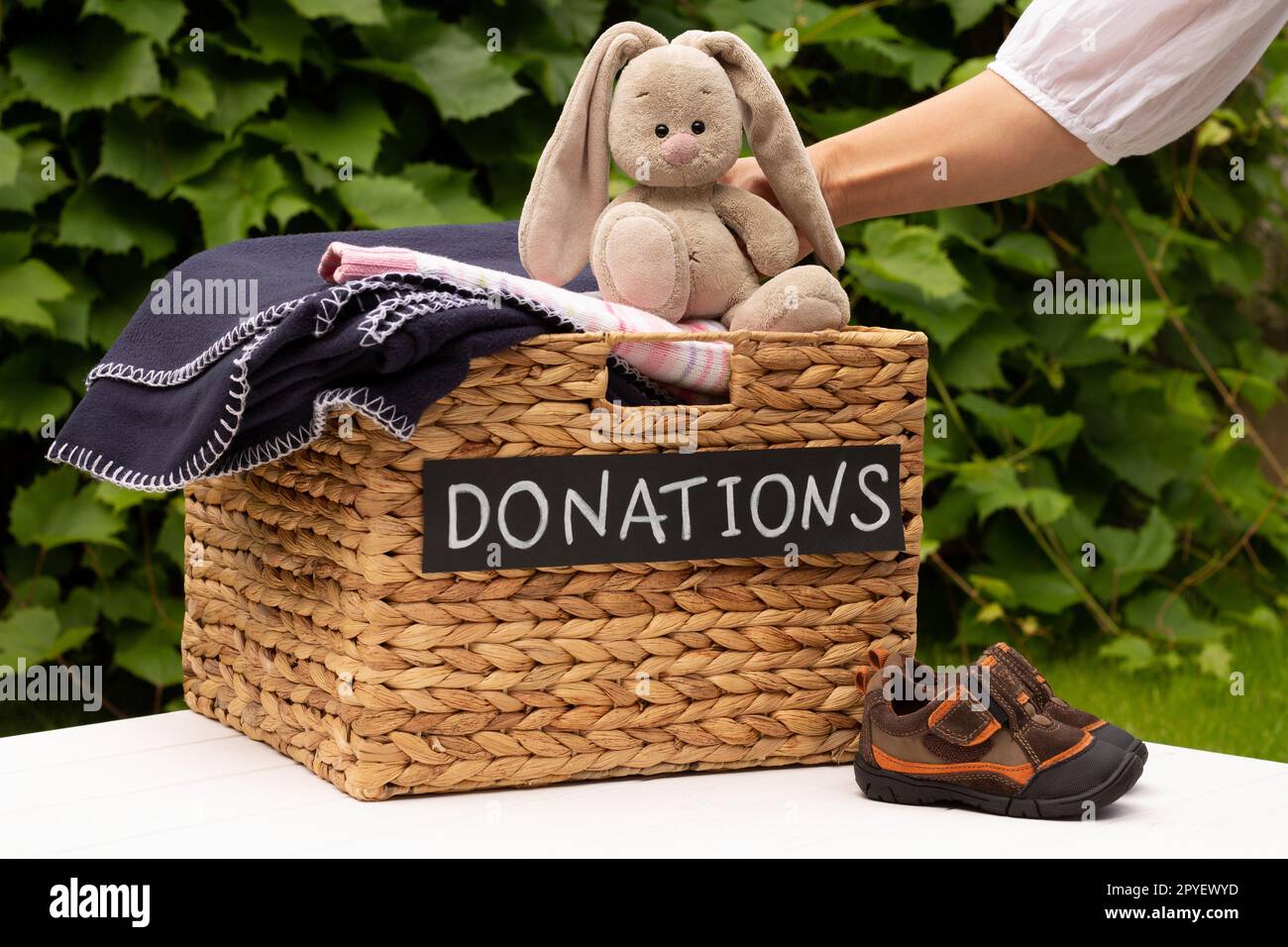 Hand putting a toy hare in a box for donations on a greenery background ...
