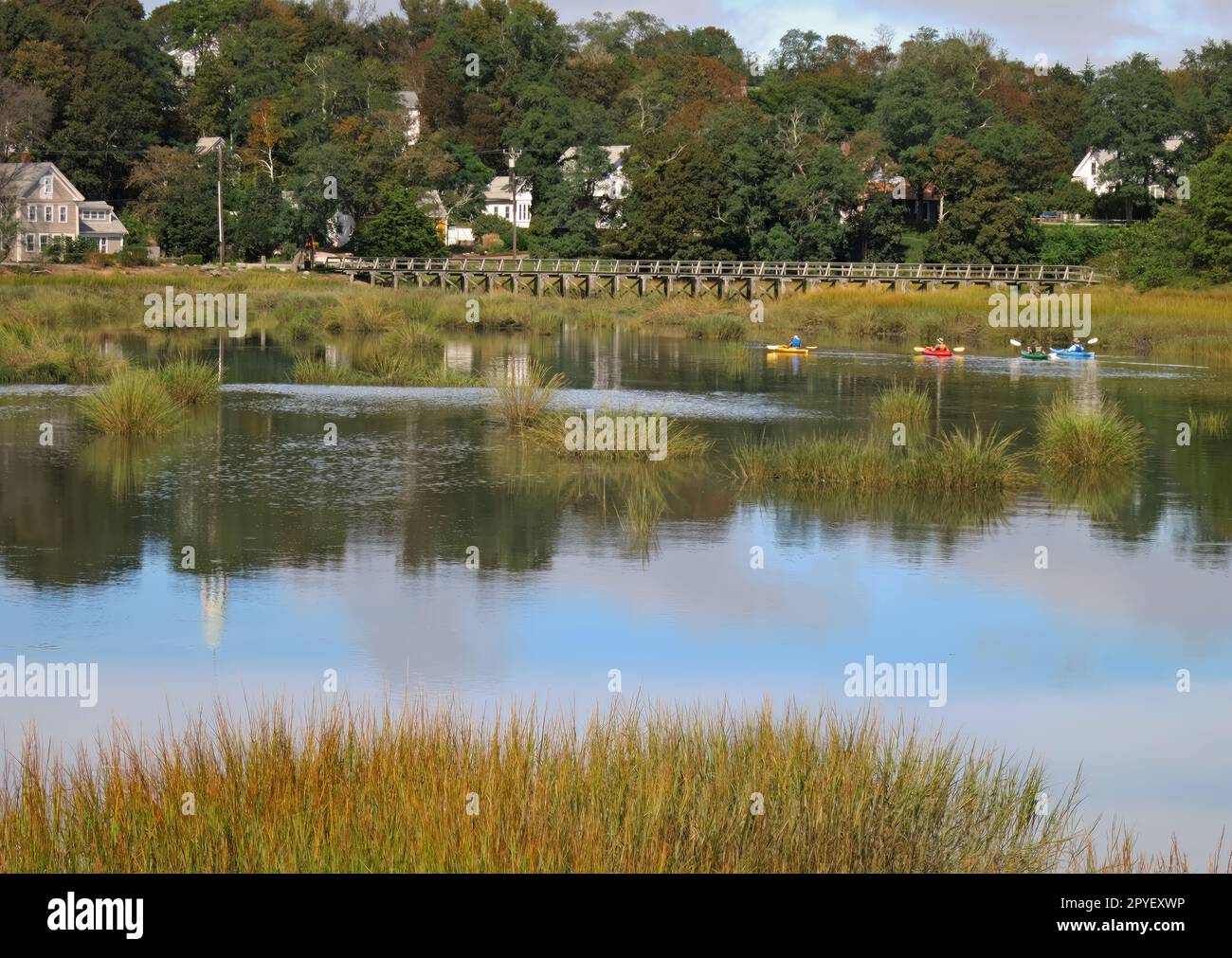 Four Kayakers in yellow,red,green and blue Kayaks on pond in Wellfleet ...
