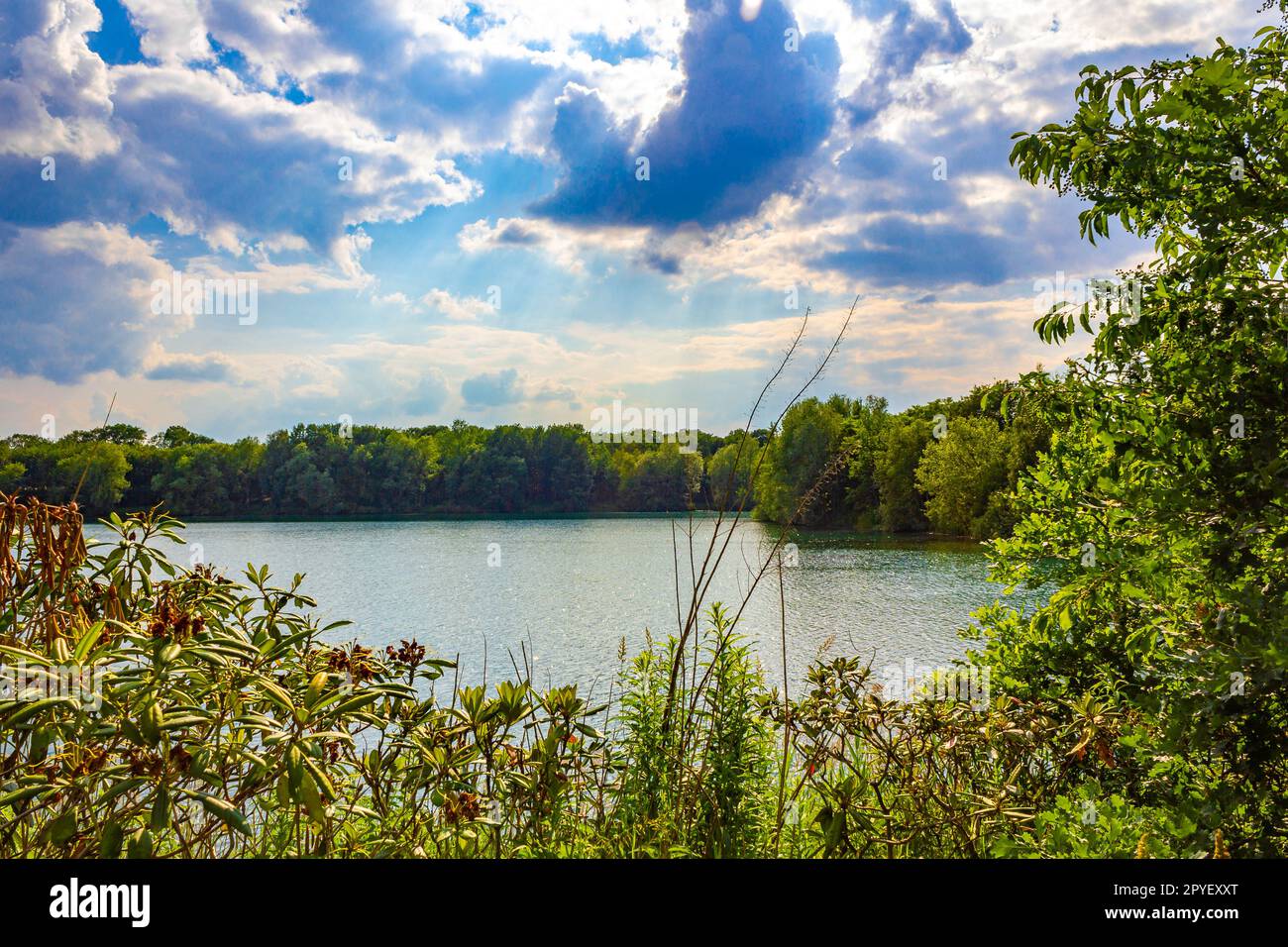 Lake water river in green turquoise blue color natural forest Stock ...