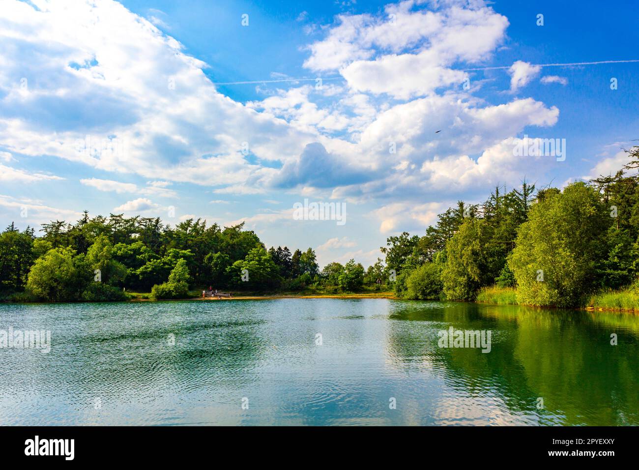 Lake water river in green turquoise blue color natural forest Stock ...