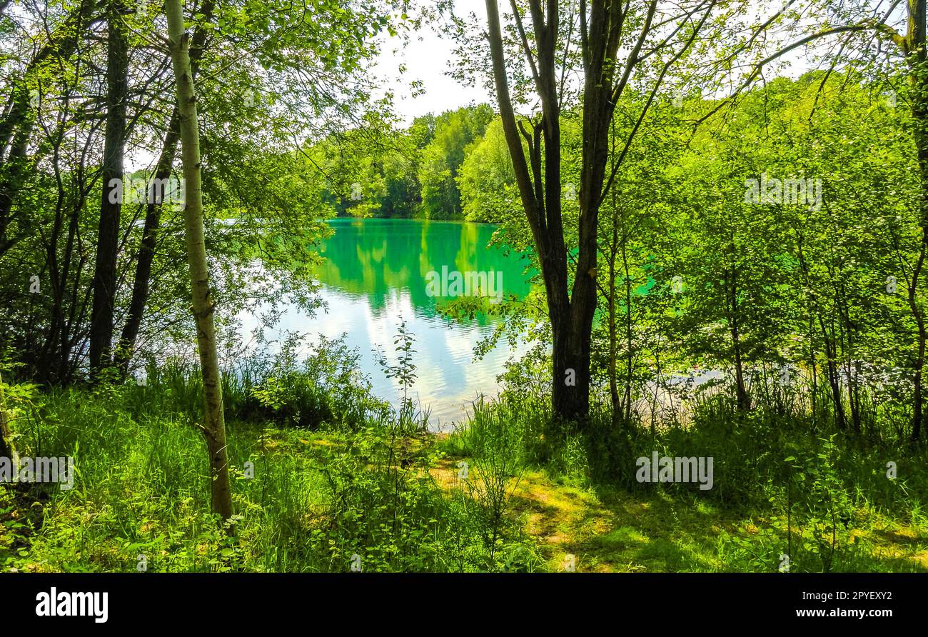 Lake water river in green turquoise blue color natural forest Stock ...