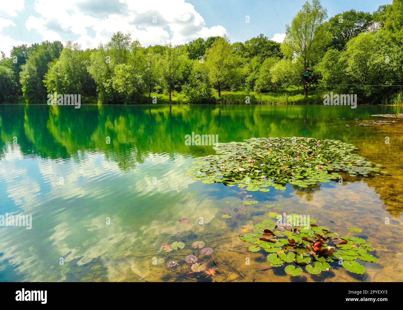 Lake water river in green turquoise blue color natural forest Stock ...