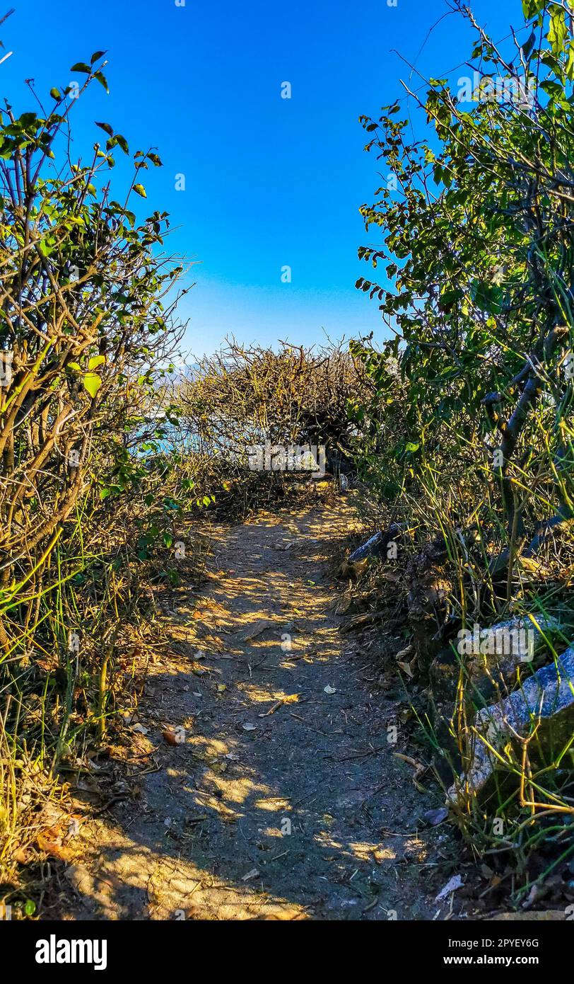 Rocks cliffs overgrown with nature plants trees bushes flowers cacti ...