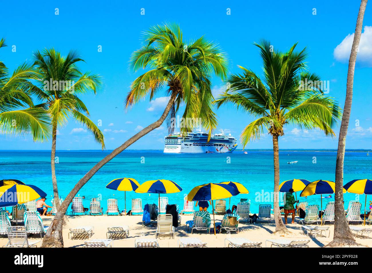 Catalina Island or Isla Catalina is a tropical island located 1.5 miles ...