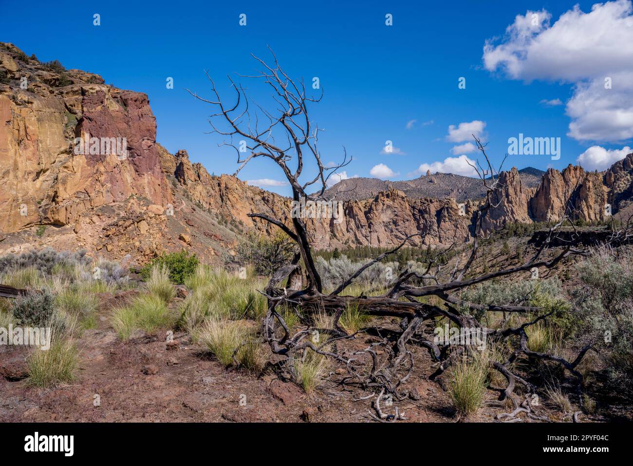 View of Smith Rock State Park, which is a state park located in central ...