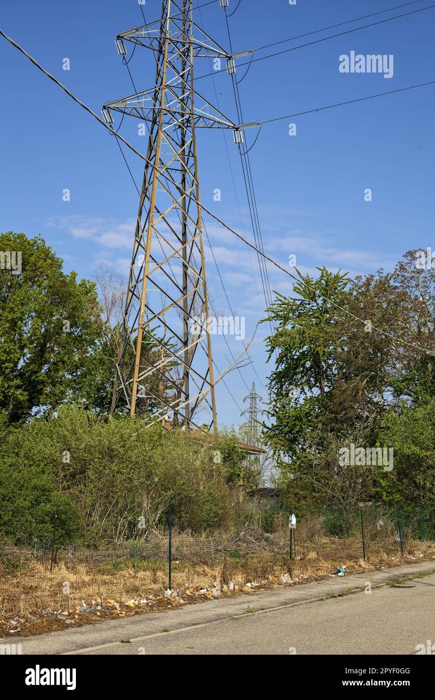 Electricity pylons framed by trees with the sky as background Stock ...